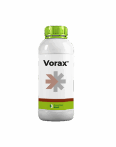 Vorax | Rovensa Next Brazil