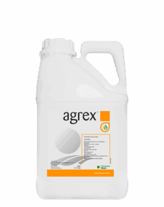 Agrex | Rovensa Next Brazil
